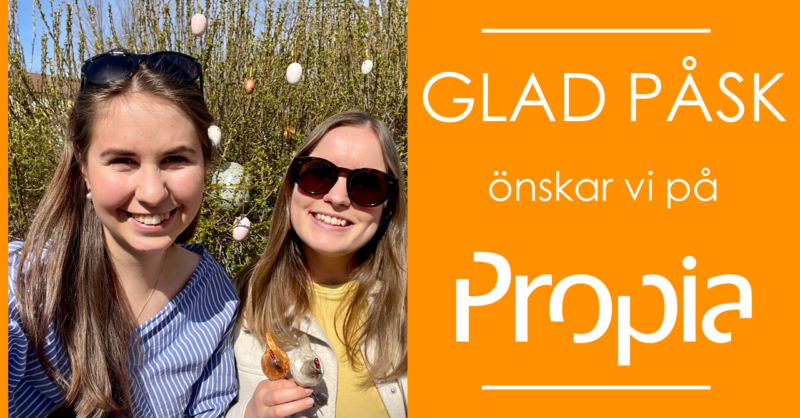 Hur är det att skriva exjobb på Propia? – Propia